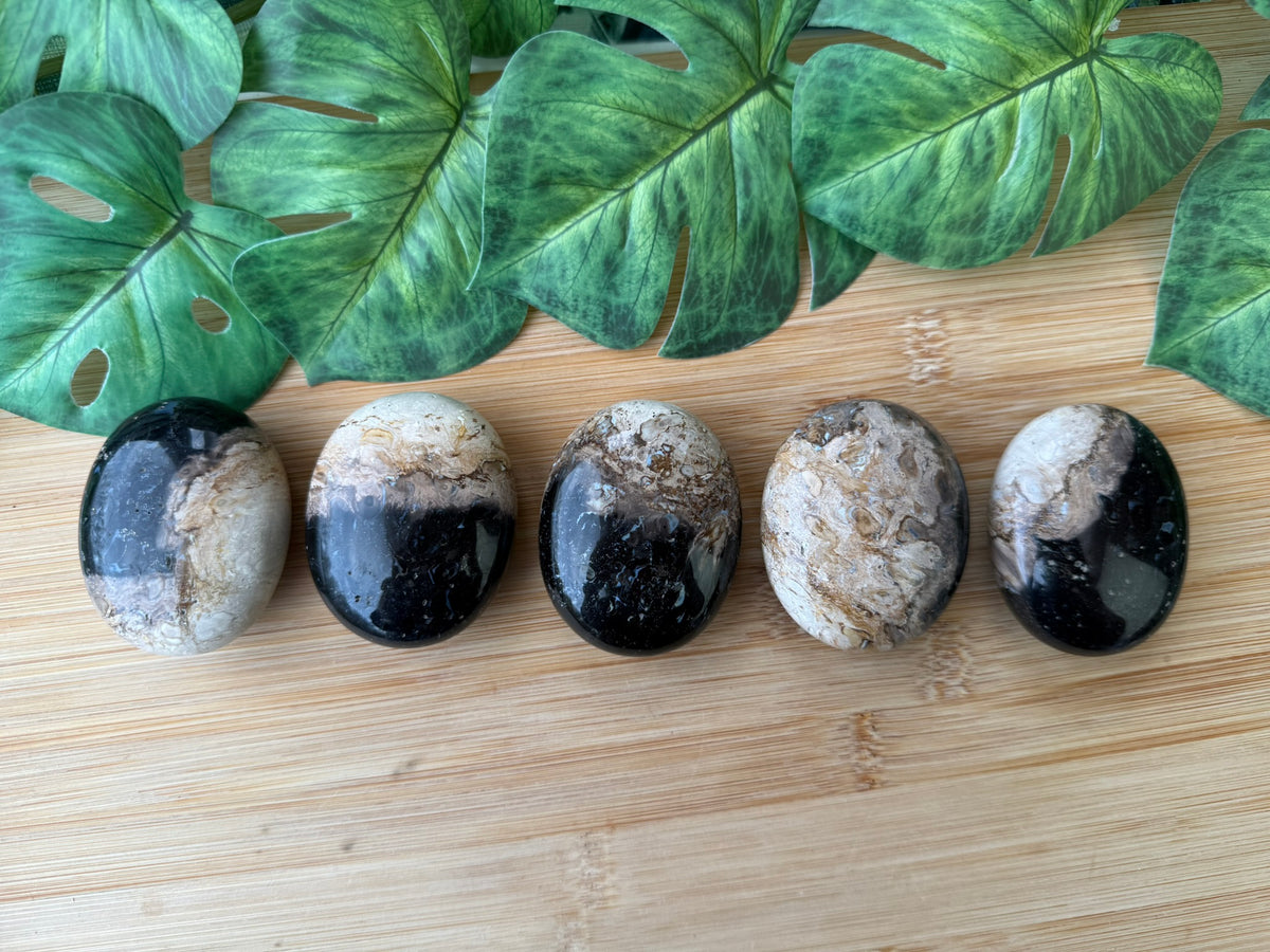 Palm Root Agate Palm Stone | Grounding, Balance & Inner Strength – Moor ...